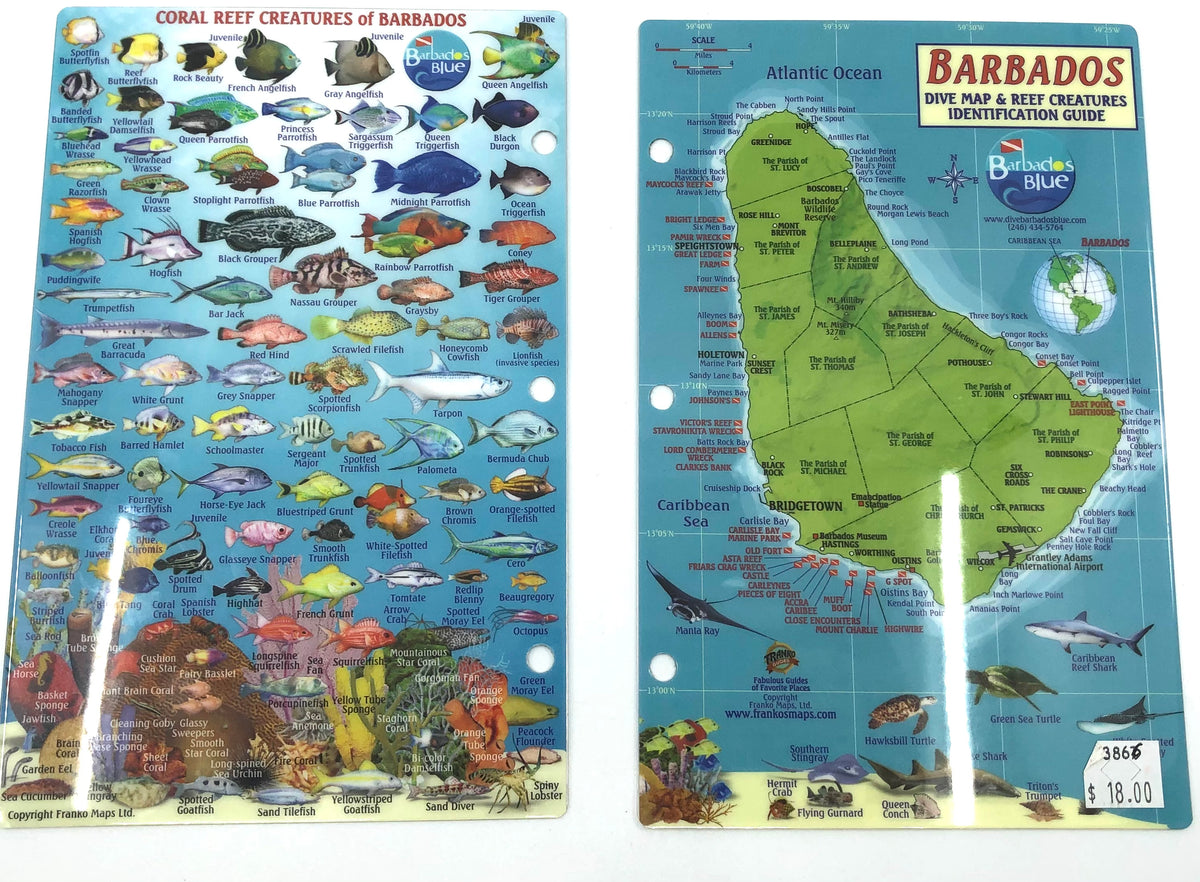 Coral Reef Creatures of Barbados Fish ID Card – Aqua Sport Scuba Center